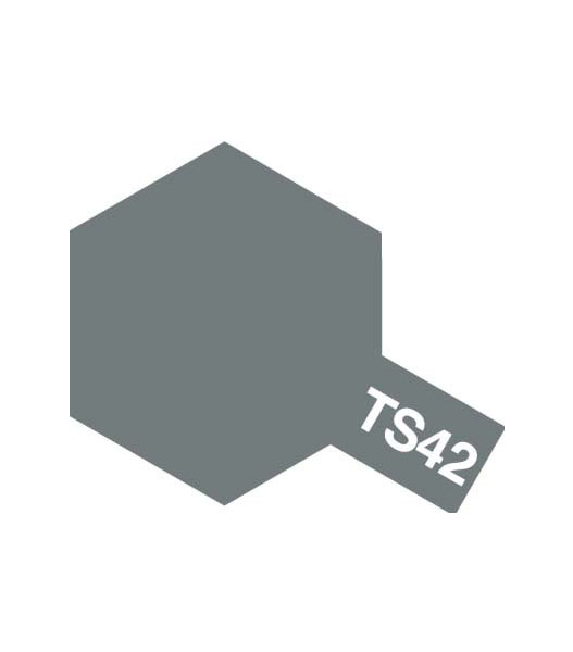 Fellowes / タミヤ TS042 ライトガンメタル